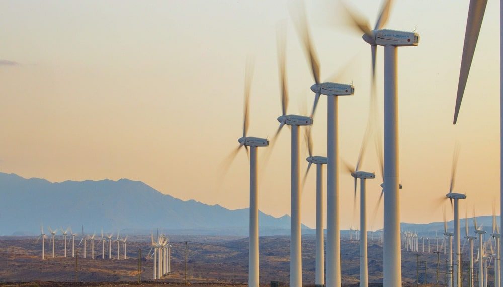 Dubai to build UAE's first wind farm