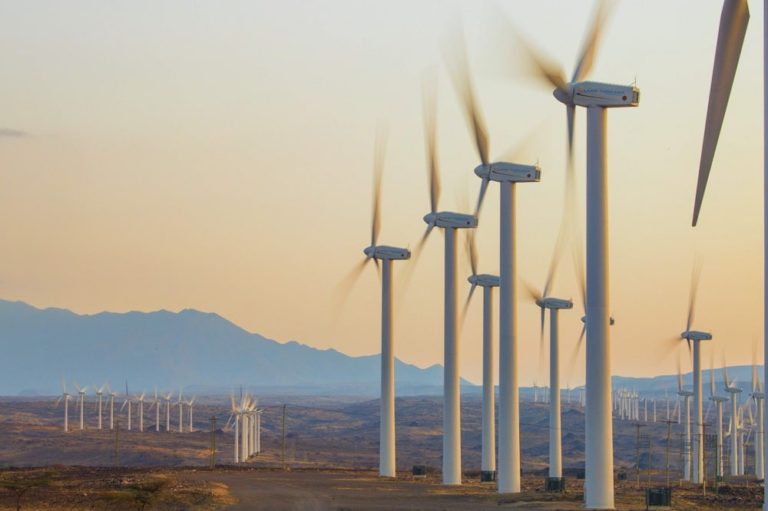 Dubai to build UAE's first wind farm